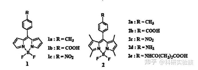 芘乙炔基/双边苯乙烯修饰BODIPY荧光染料化合物 - 知乎