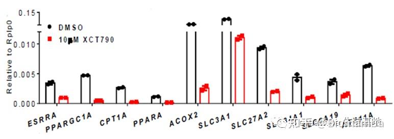 《Cell Metabolism》：肾脏疾病&代谢&核受体ESRRA - 知乎