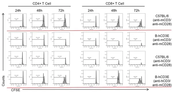 人源化CD3E、CD3EDG小鼠为CD3双抗筛选添砖加瓦 - 知乎