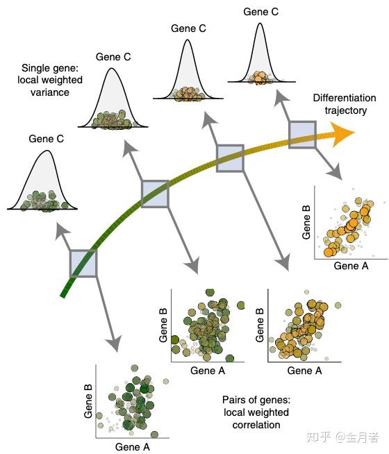 Schot Single Cell Higher Order Testing 知乎