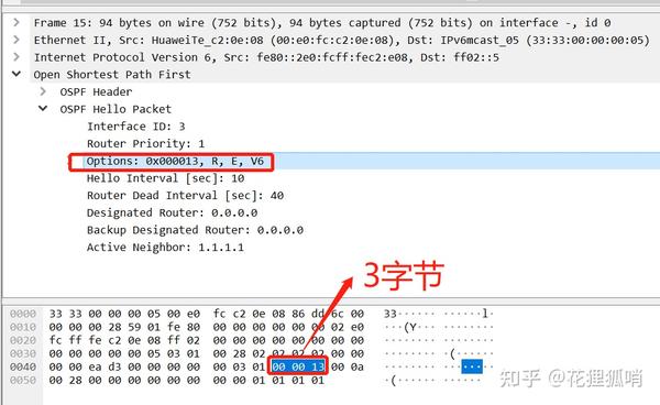 OSPFv3报文格式 - 知乎