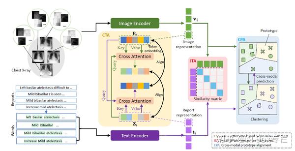 Multimodality in Medical Domain：一文速览医学多模态进展 - 知乎