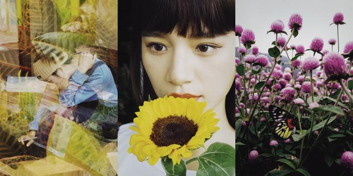 玩转 NOMO 相机 app，看这一篇文章就够了 - 知乎