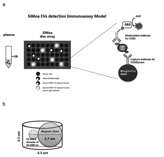 Simoa单分子阵列技术检测肠癌患者血浆细胞外囊泡-上海玮驰仪器有限公司