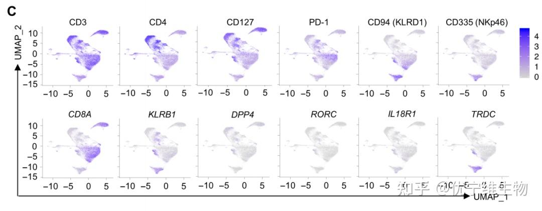 单细胞测序&多色胞内流式——揭示HIV-I感染的MAIT功能障碍的机制 - 知乎
