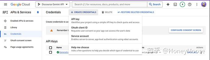 如何在 Discourse AI 中设置 Gemini API - 知乎