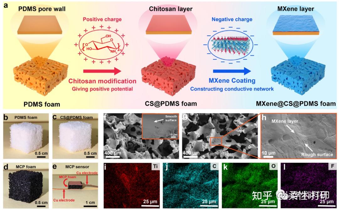 基于Ti3C2Tx MXene 的多功能触觉传感器，精确检测和区分温度与压力刺激 - 知乎