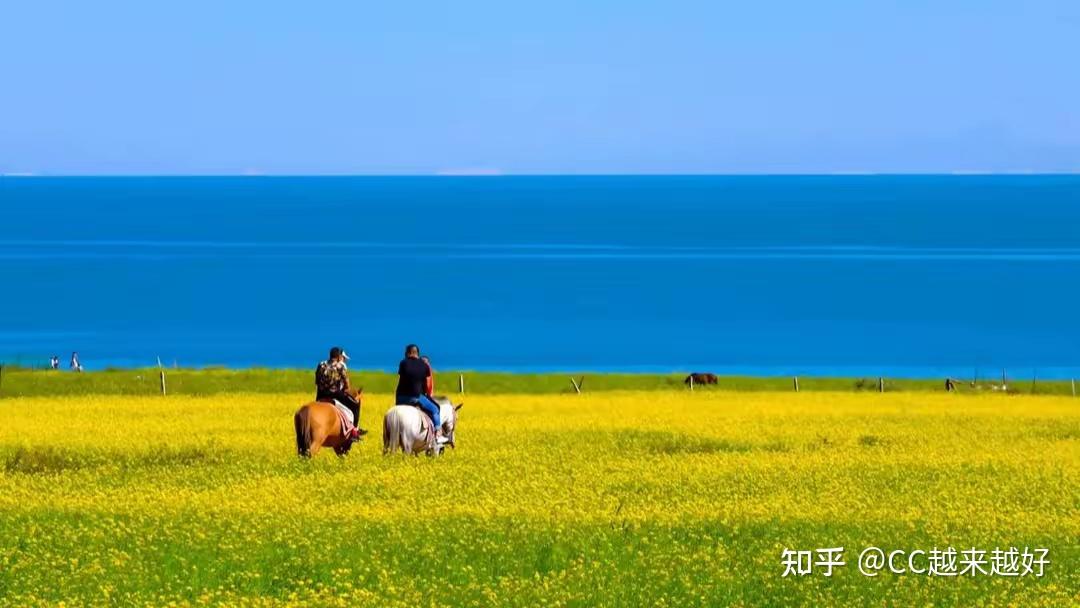 王炸！ “最美国道”之G227新路段即将通车，西北无限风光等你来… - 知乎