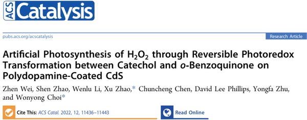 赵旭团队/Wonyong Choi教授ACS Catal.: 基于聚多巴胺蒽醌可逆转化人工光合作用合成H₂O₂ - 知乎