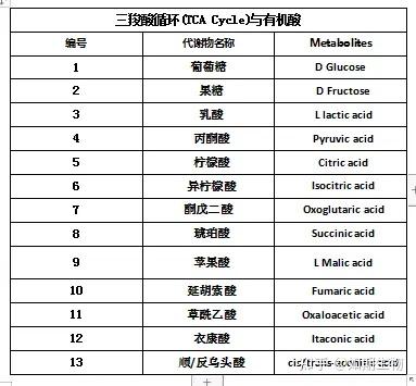 三羧酸循环(TCA Cycle)与有机酸的定量分析 - 知乎