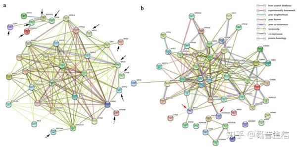eQTL、pQTL、共定位、孟德尔随机化！8+ - 知乎