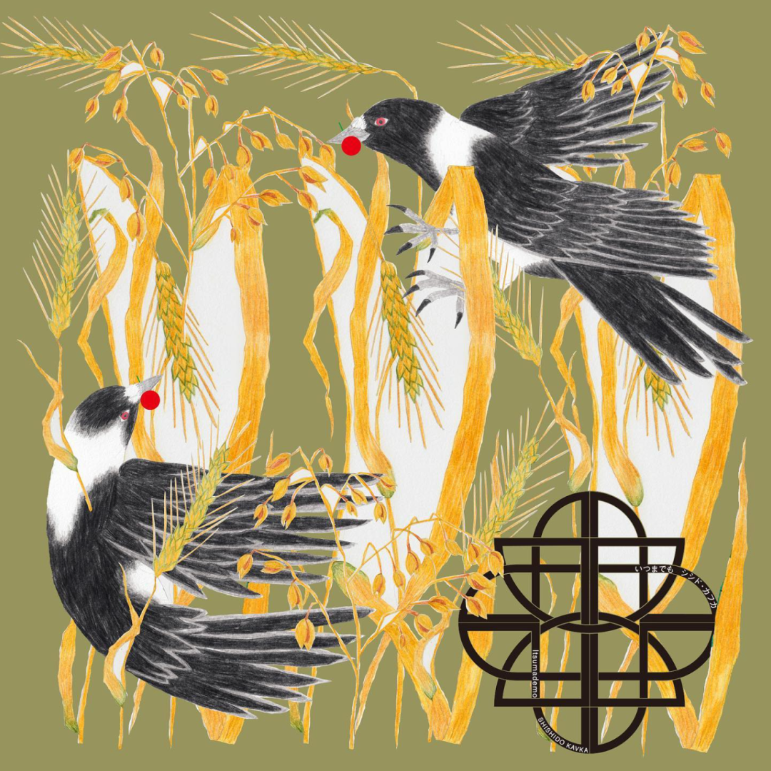 2023日本JAGDA大奖落定！从 2100件作品中突围的平面设计什么样？ - 知乎