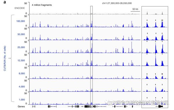 CUT&RUN--下一代chip实验的革新性技术 - 知乎