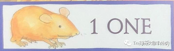 英文绘本推荐 24 亲子共读 数学启蒙-Every Buddy Counts解读和拓展 - 知乎