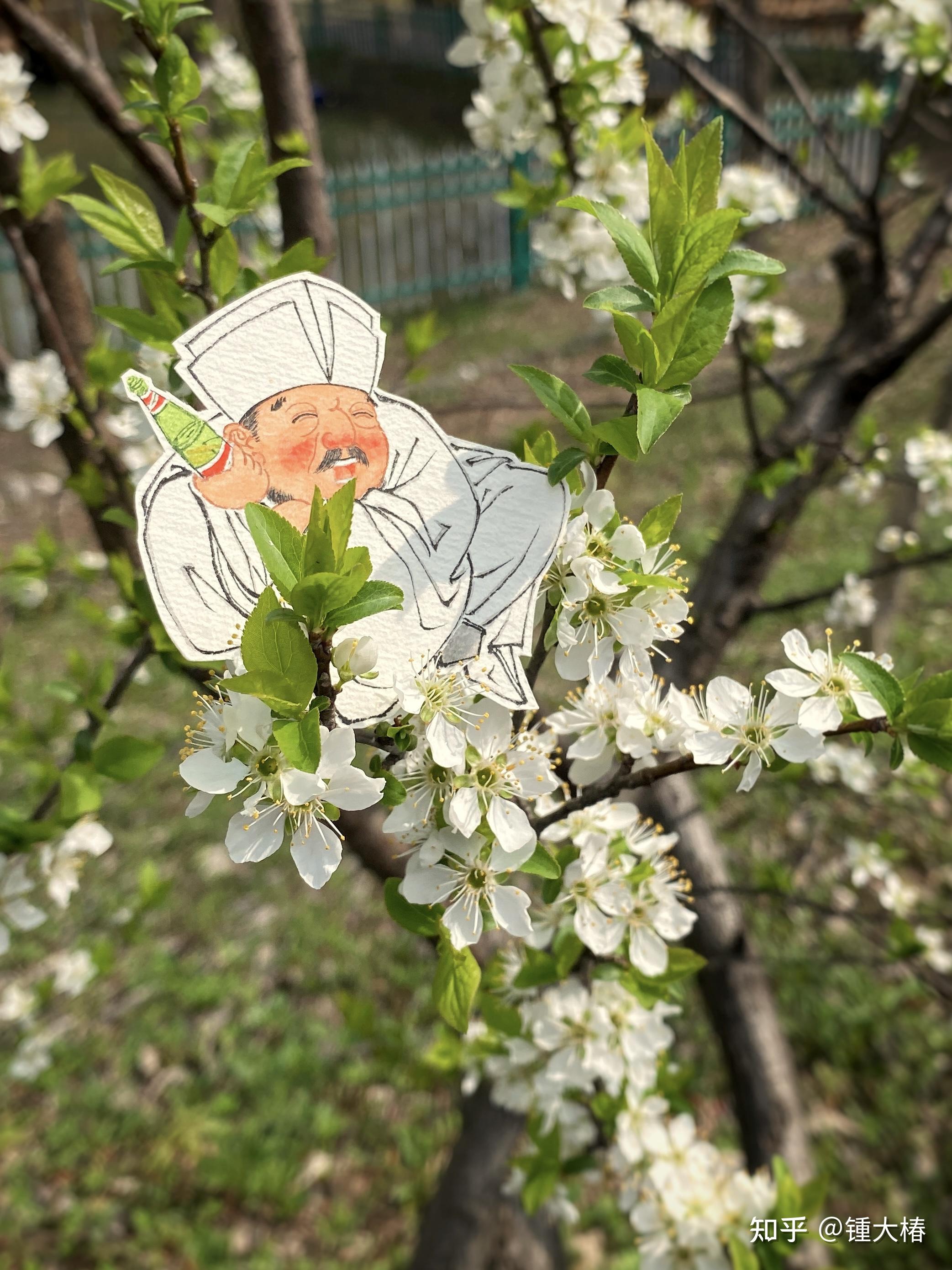 何妨花间连日醉, 一事能狂便少年。 知乎