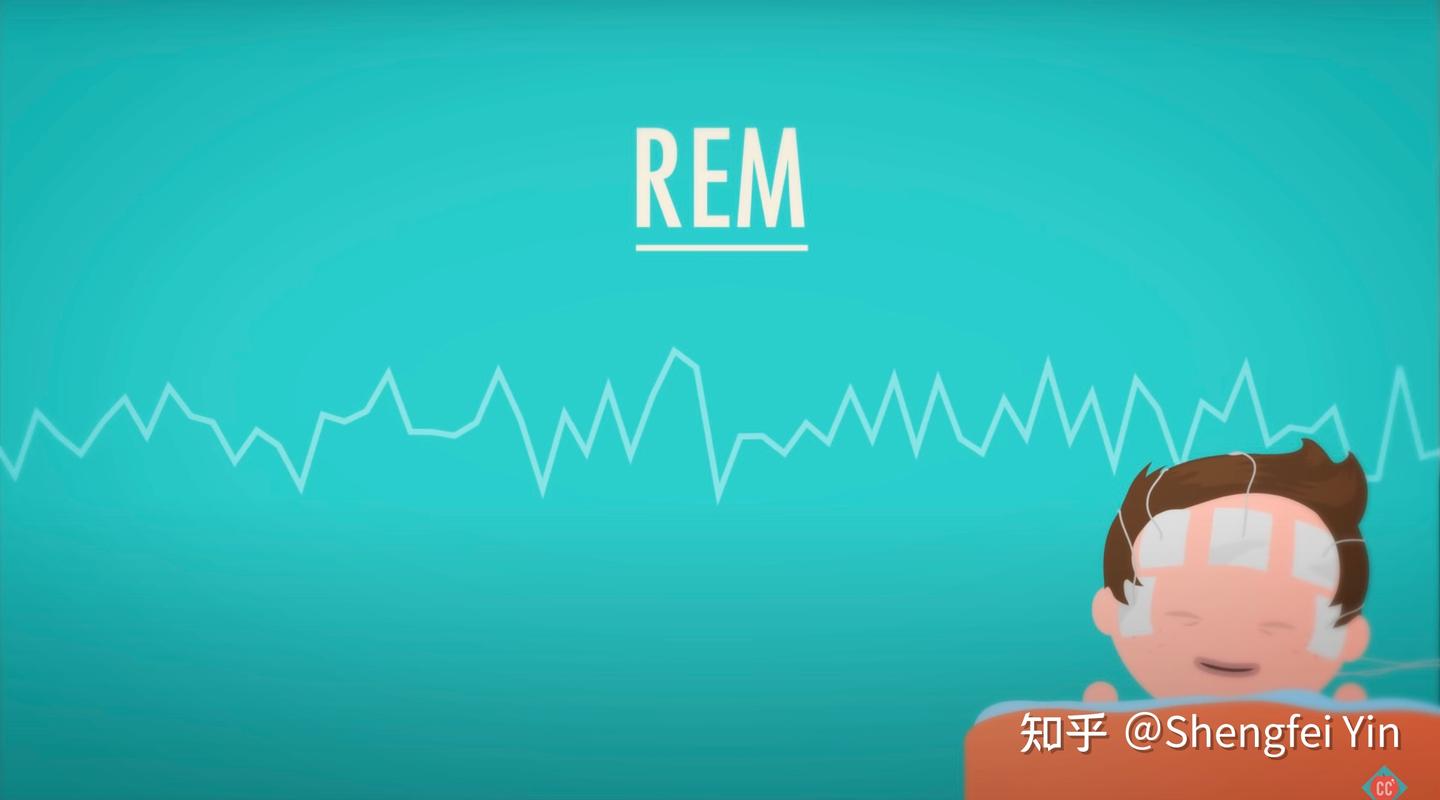Sleep & Dreams - Crash Course Psychology #9 - 知乎