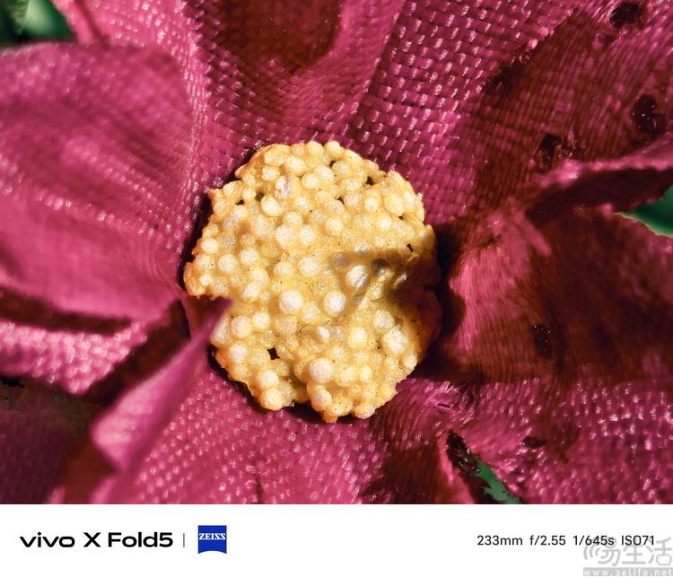 vivo X Fold 5评测：更薄、更亲民，但也更强了 - 知乎