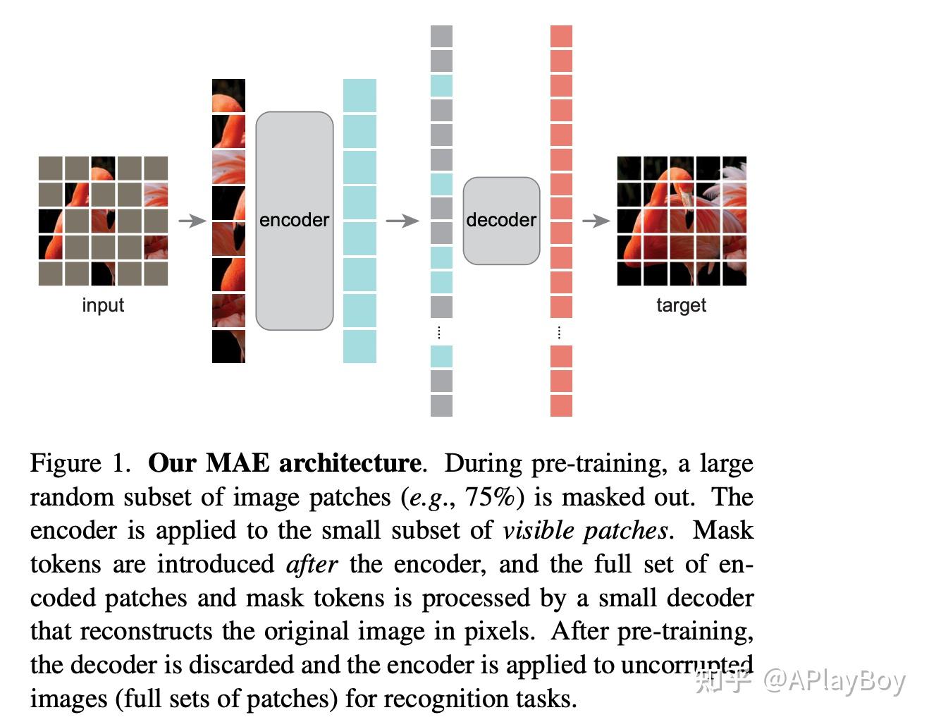一文搞懂多模态：14个多模态模型+4个周边原理解读（上） - 知乎