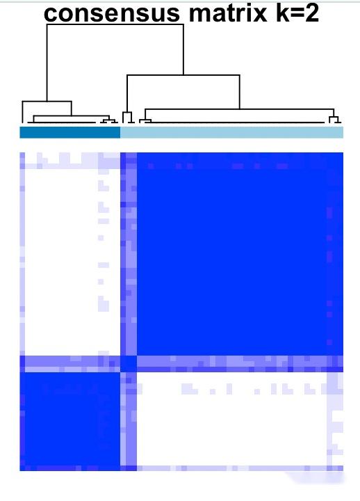 两行代码10+张图的聚类神器ConsensusClusterPlus（上） - 知乎
