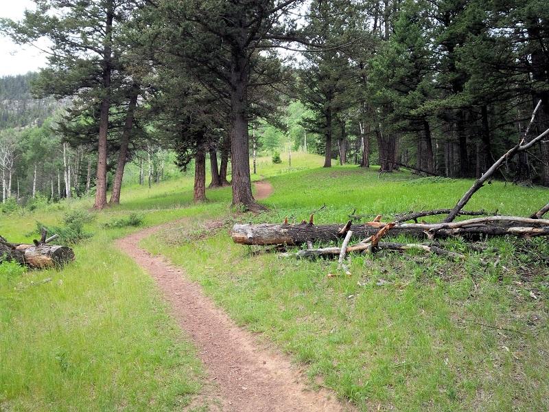 柯里山口环线（Cory Pass Loop） - 知乎