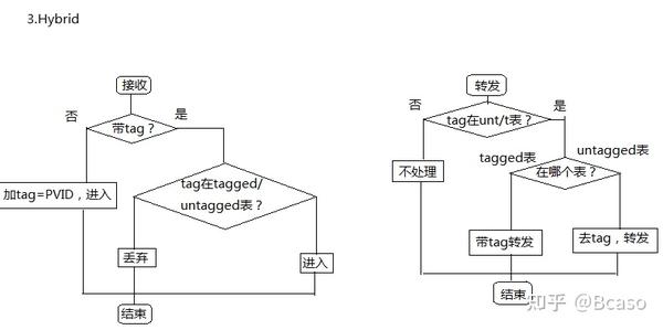 图解 trunk，hybrid - 知乎