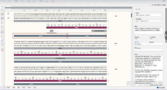 敲除sgRNA“保姆级”设计教程 - 知乎