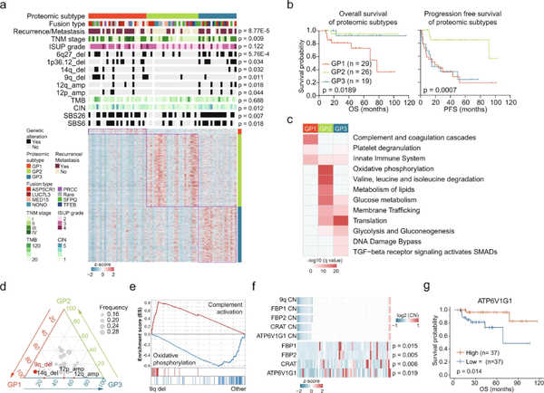 文献解读|MiT家族易位肾细胞癌的多组学分子表征 - 知乎