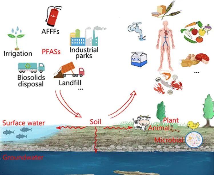 重磅！ECHA官方公布北欧5国提出的PFAS限制提案 - 知乎