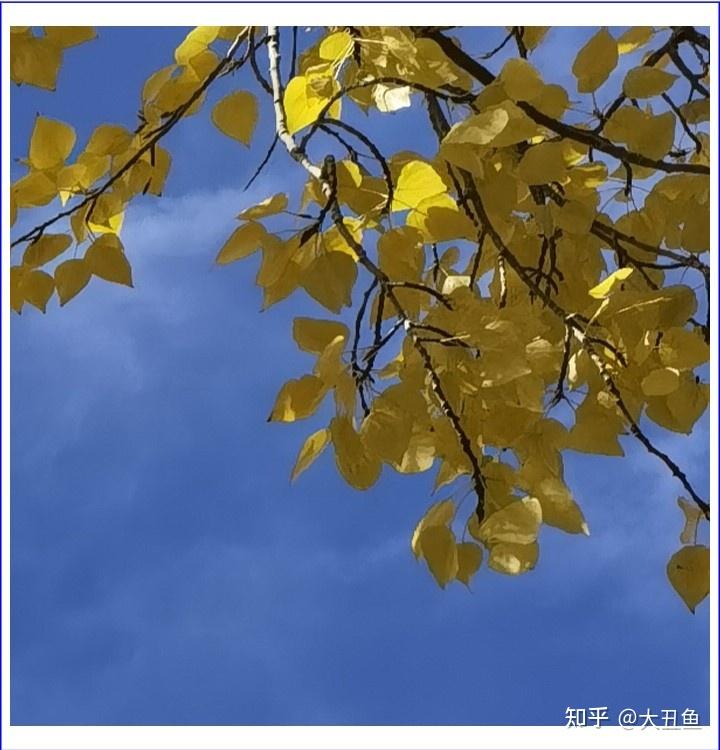 鸿蒙App开发-图片编辑-使用PixelMap完成图像变换 - 知乎