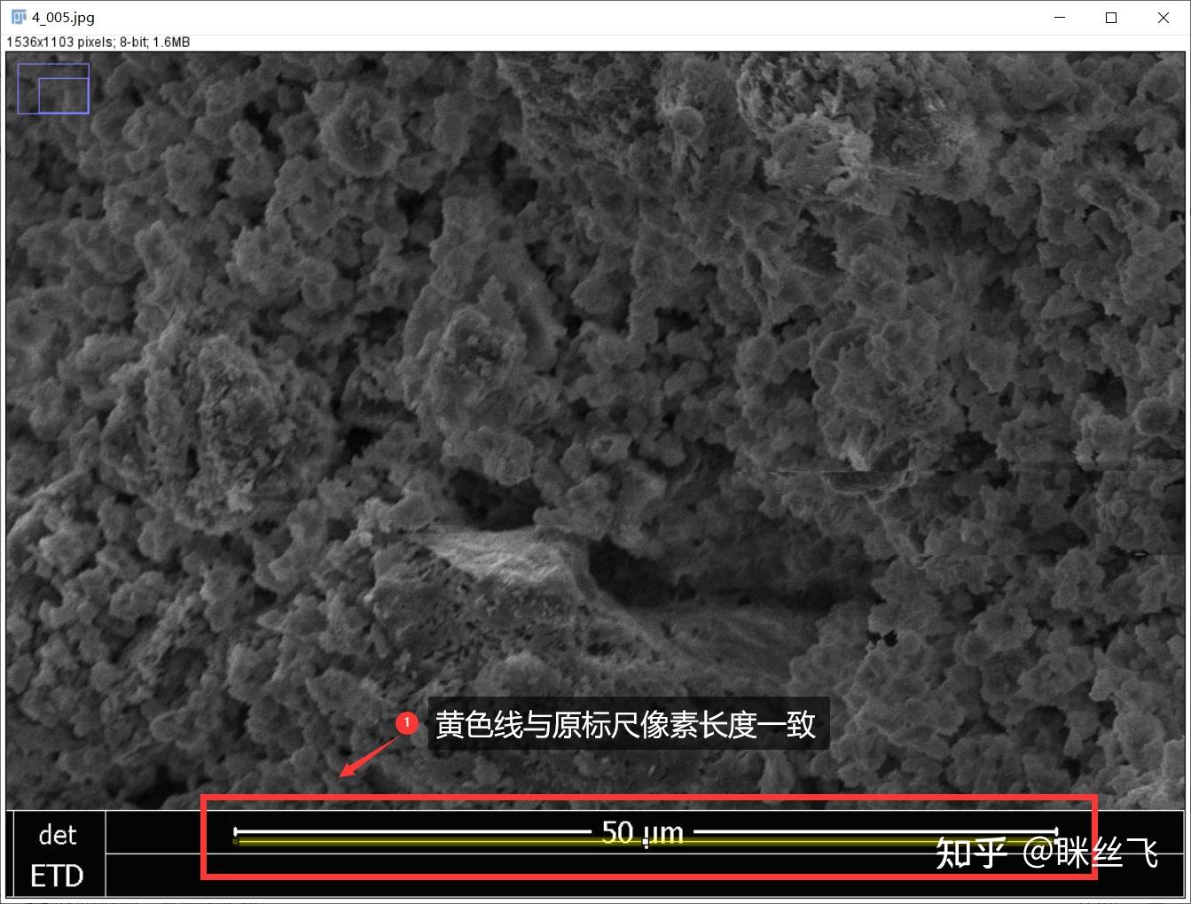 使用ImageJ给SEM图像加标尺！ - 知乎