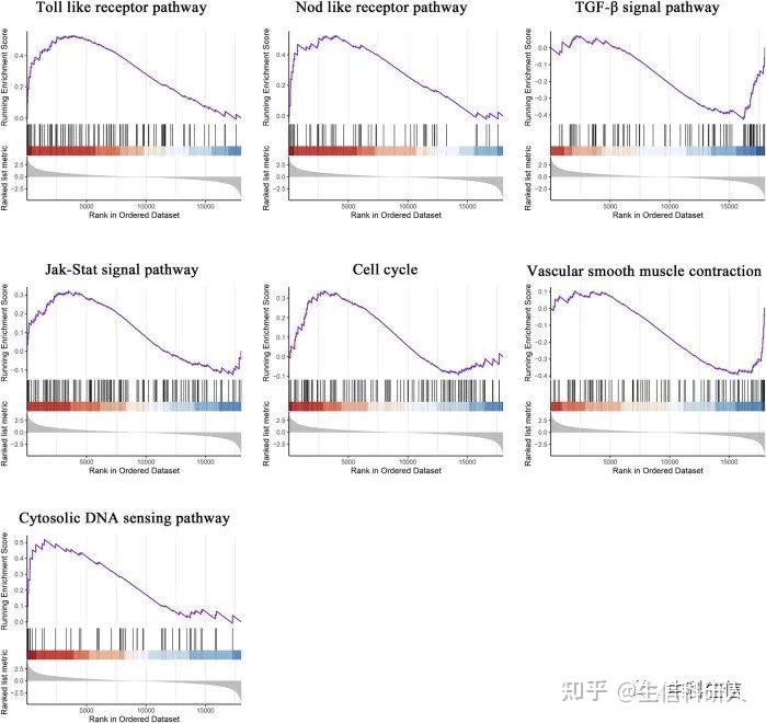 6+ hub基因加ceRNA网络 - 知乎