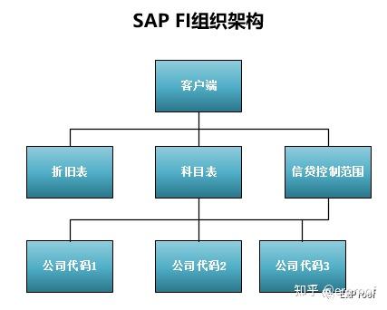 SAP FI课程1.1 FI组织架构 - 知乎