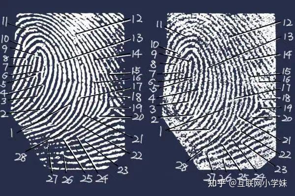 指纹识别技术的优点和缺点？ 知乎