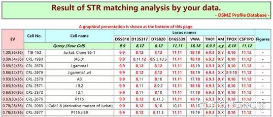 STR鉴定报告数据解读指南 - 知乎