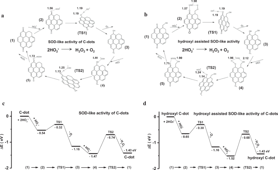 【Nat.Commun】破译碳点纳米酶超氧化物歧化酶活性的催化机制 - 知乎
