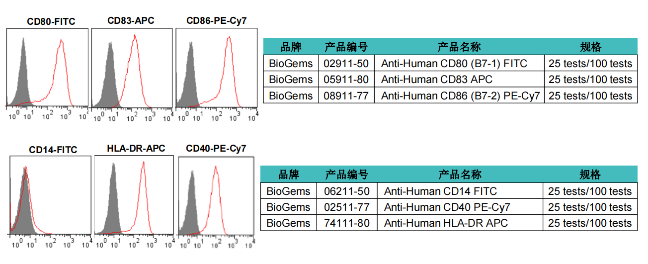 人和鼠 DC细胞鉴定的流程及结果！等你来看~ - 知乎