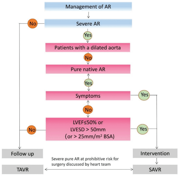 【CVIA综述】TAVR用于单纯主动脉瓣反流患者的临床现状 - 知乎