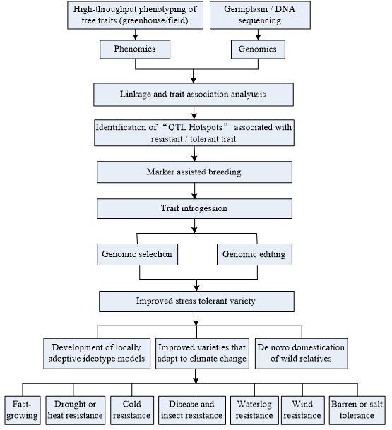 跨越表现型和基因型之间的桥梁:先进成像技术在森林表型上的应用综述 - 知乎