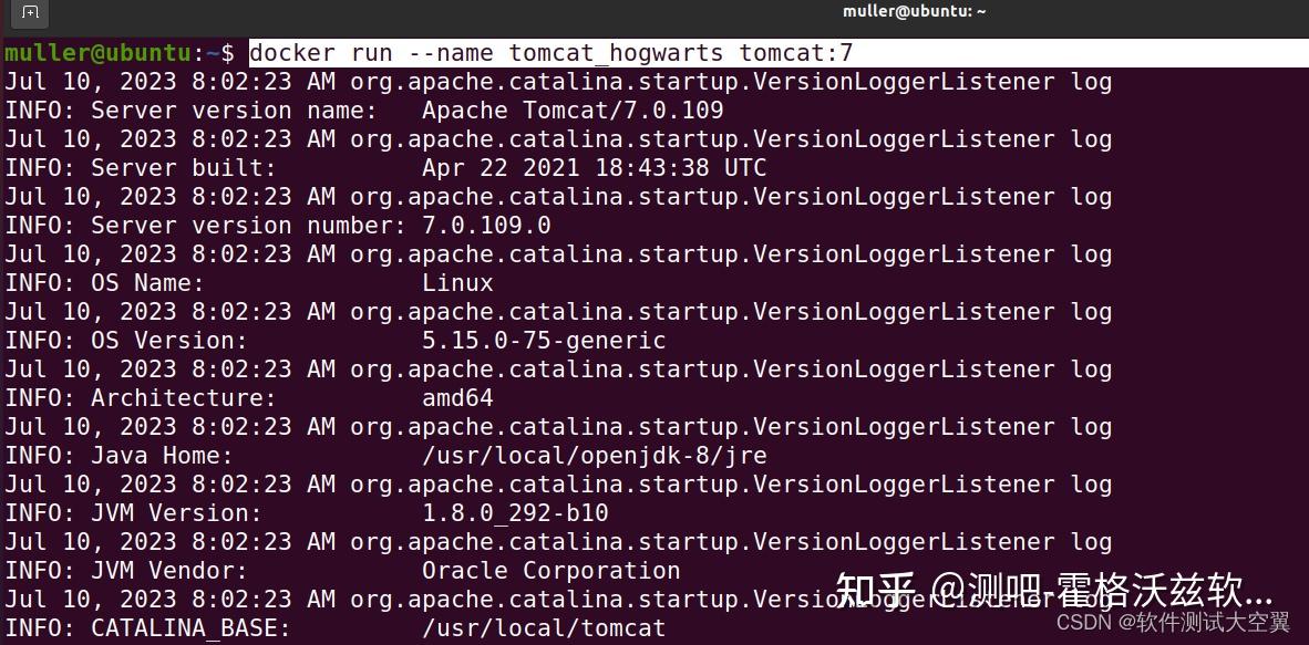 深入理解 Docker Run 命令：从入门到精通 - 知乎