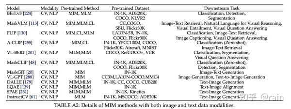 Masked Modeling Survey - 知乎
