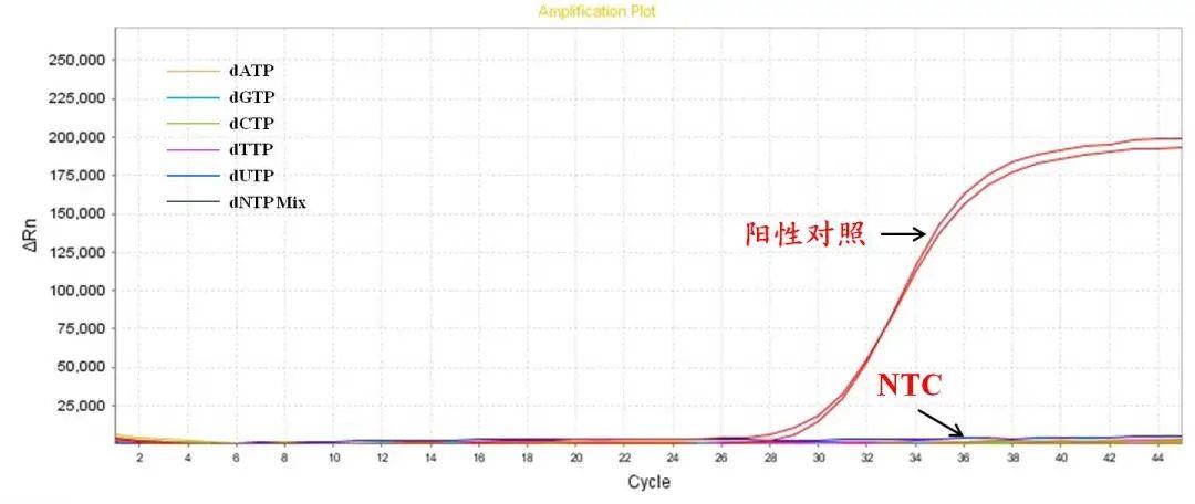 分子生物学级dNTP（脱氧核糖核苷酸），守护您的每一次PCR反应！ - 知乎