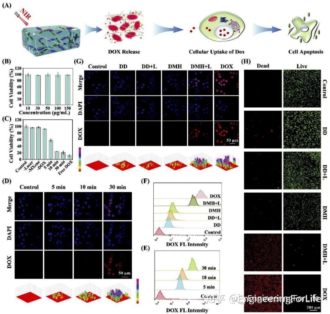 《Small》:用于NIR触发局部光热-化疗协同癌症治疗的热响应 MXene-DNA 水凝胶 - 知乎