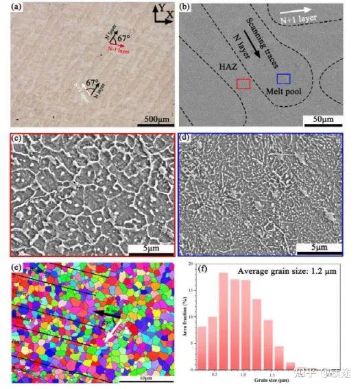 镁科研：西安交大镁合金顶刊——增材制造AZ91D镁合金，性能堪比锻 - 知乎
