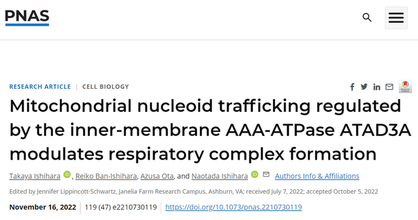 PNAS：线粒体类核动力学的新见解 - 知乎