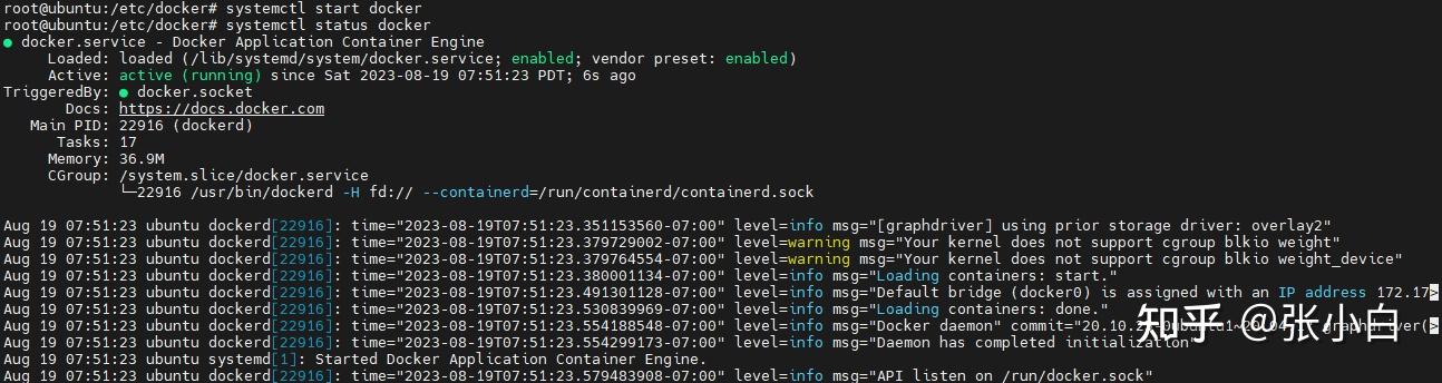在Jetson AGX Orin上运行Stable Diffusion - 知乎