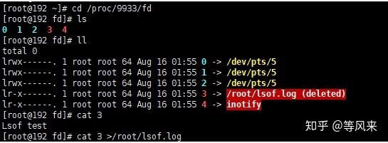 Linux命令神器lsof - 知乎