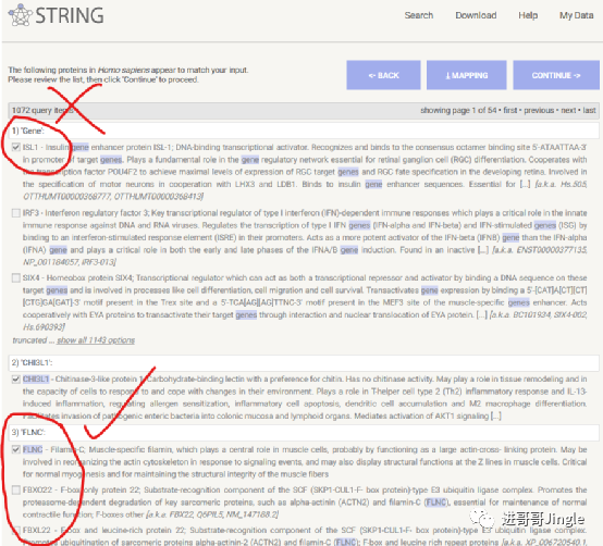STRING网站+Cytoscape软件制作精美蛋白互作网络图(PPI) - 知乎