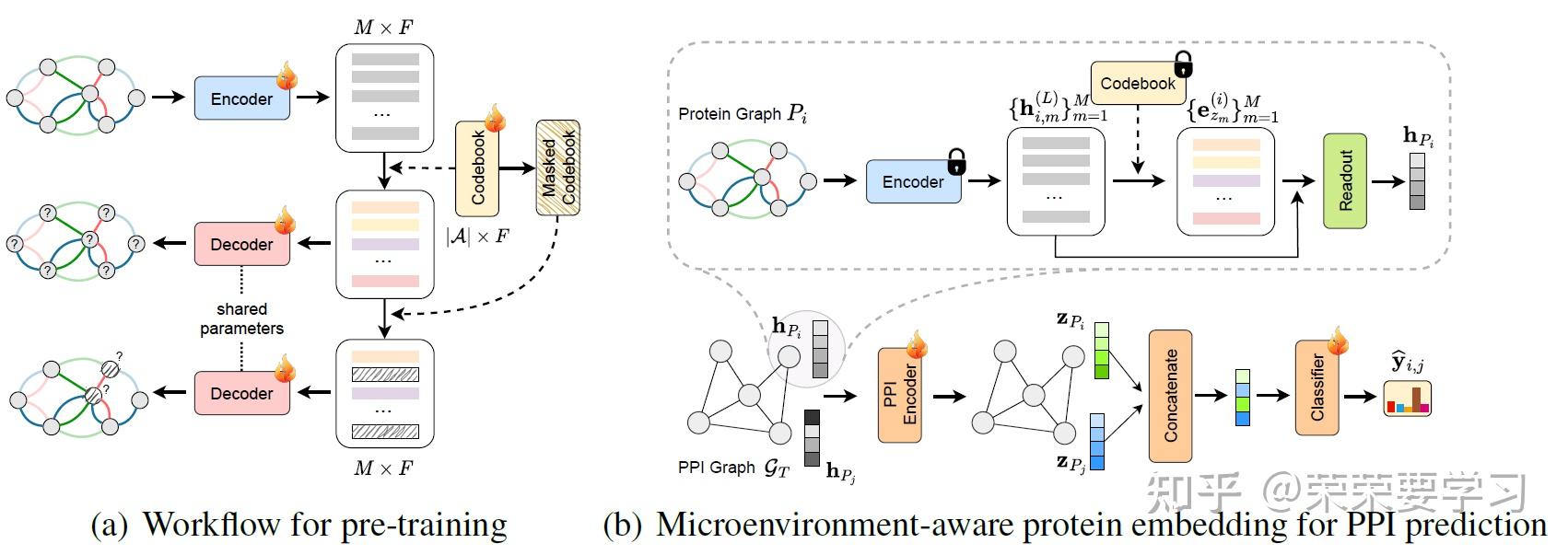 ICLR 2024 | MAPE-PPI：迈向高效有效的蛋白-蛋白互作预测 - 知乎