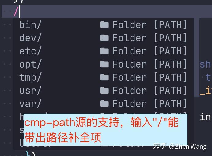 详解nvim内建LSP体系与基于nvim-cmp的代码补全体系 - 知乎