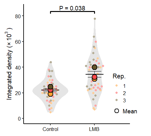 R语言ggplot2学习 NC文章 的 小提琴图+蜂群点图 并添加 误差棒、均值点 等 - 知乎
